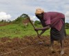 Five Innovative NGOs in Agriculture | International Relations Online